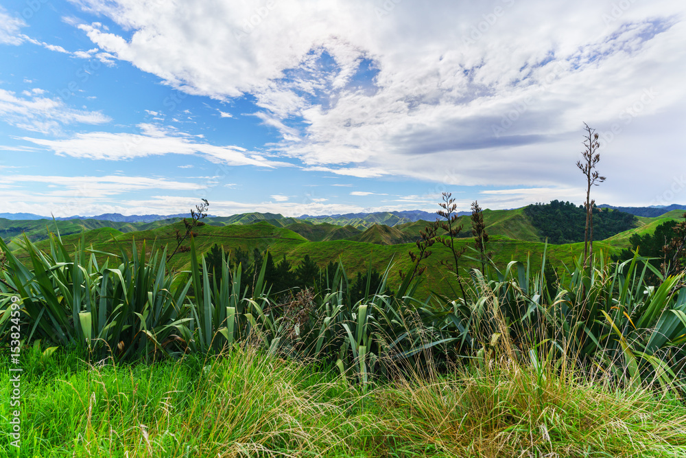 Beautiful scenery of Whanganui river road in National Park in Autumn ...