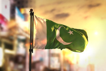 Flag Of Pakistan Pakistan Flag Free Stock Photo Public Domain Pictures flag-of-pakistan-pakistan-flag-free-stock-photo-public-domain-pictures