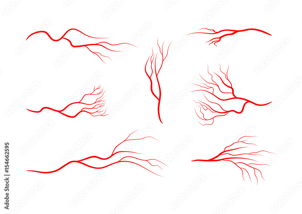 Set of abstract veins, blood vessels, arteries, capillaries. Seven red ...