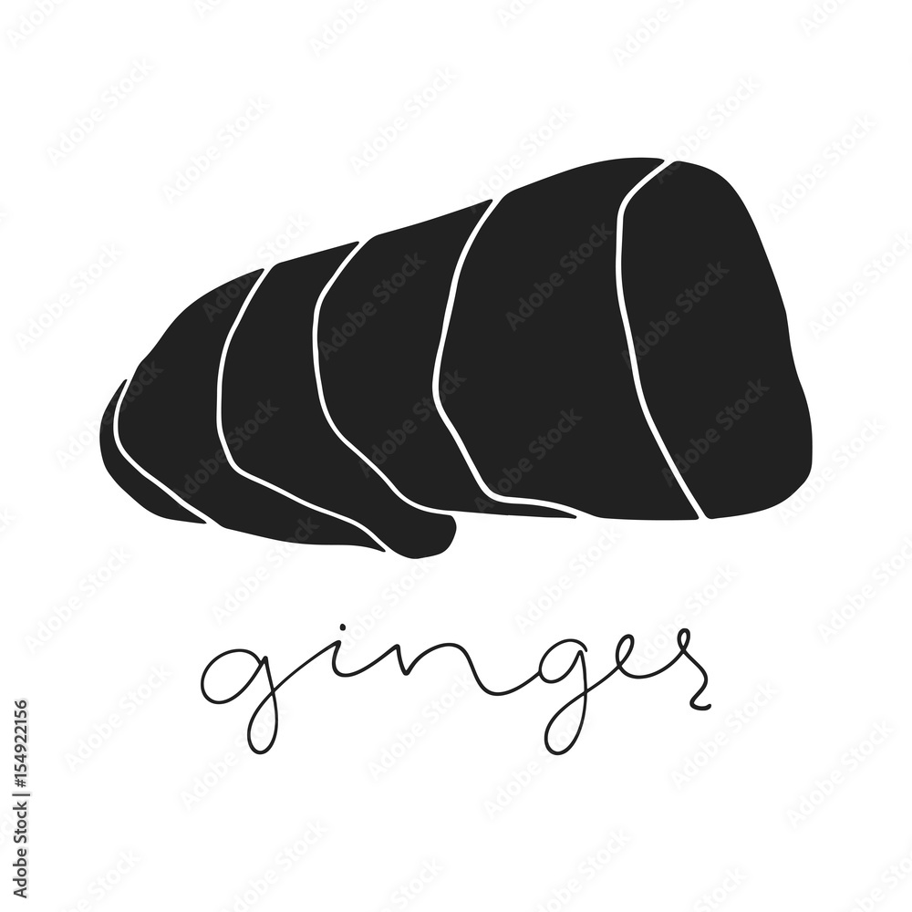 Cartoon ginger root silhouette on the white background Stock ...