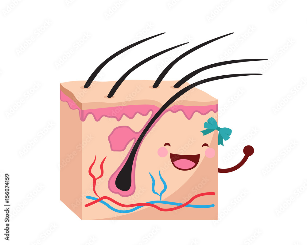 Healthy Happy And Cute Human Anatomy Illustration Cartoon - Healthy ...