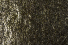 Seaweed Texture Free Stock Photo - Public Domain Pictures