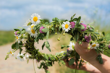 Daisy Chain Free Stock Photo - Public Domain Pictures