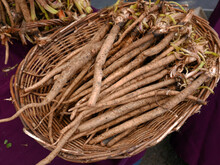Burdock Free Stock Photo - Public Domain Pictures
