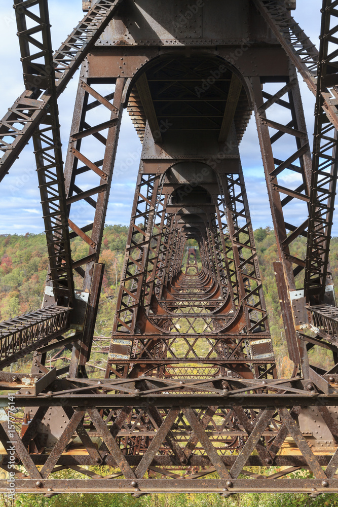 Steel construction of the Kinzua Bridge, a former railway bridge of the ...