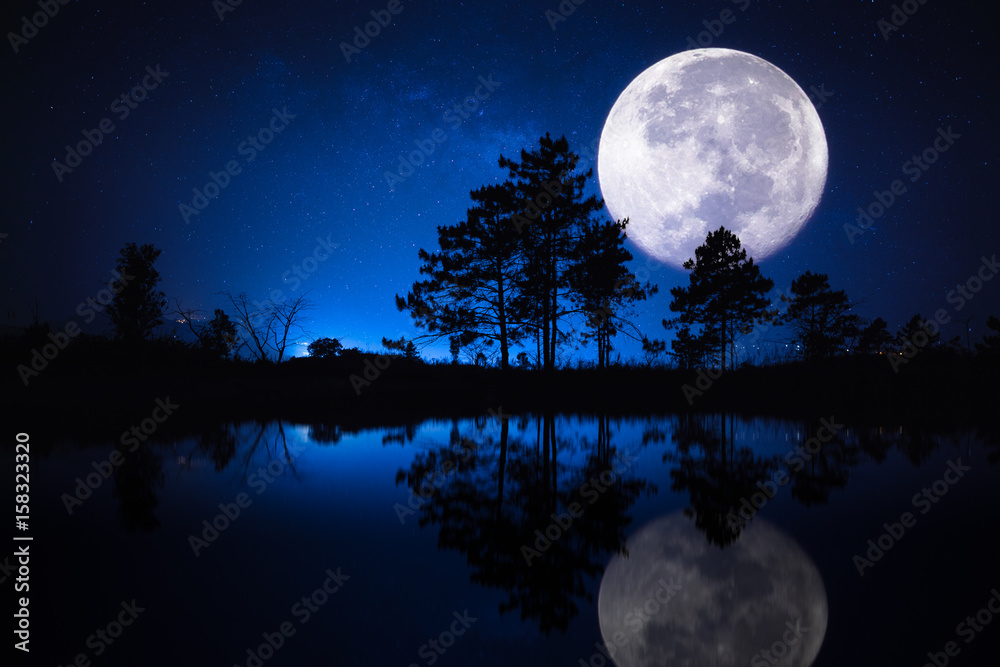 Tree silhouette nature background, Phu Cheefa Park, Chiangrai Thailand ...