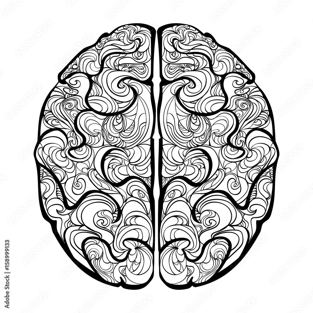 Black and white vector of human brain. Hand drawn doodle decorated with ...