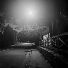 Night Vision Scene Free Stock Photo - Public Domain Pictures