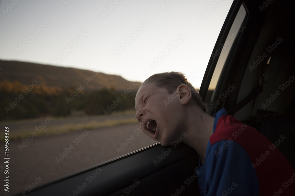 Boy leaning out of car window with eyes closed and mouth open Stock ...