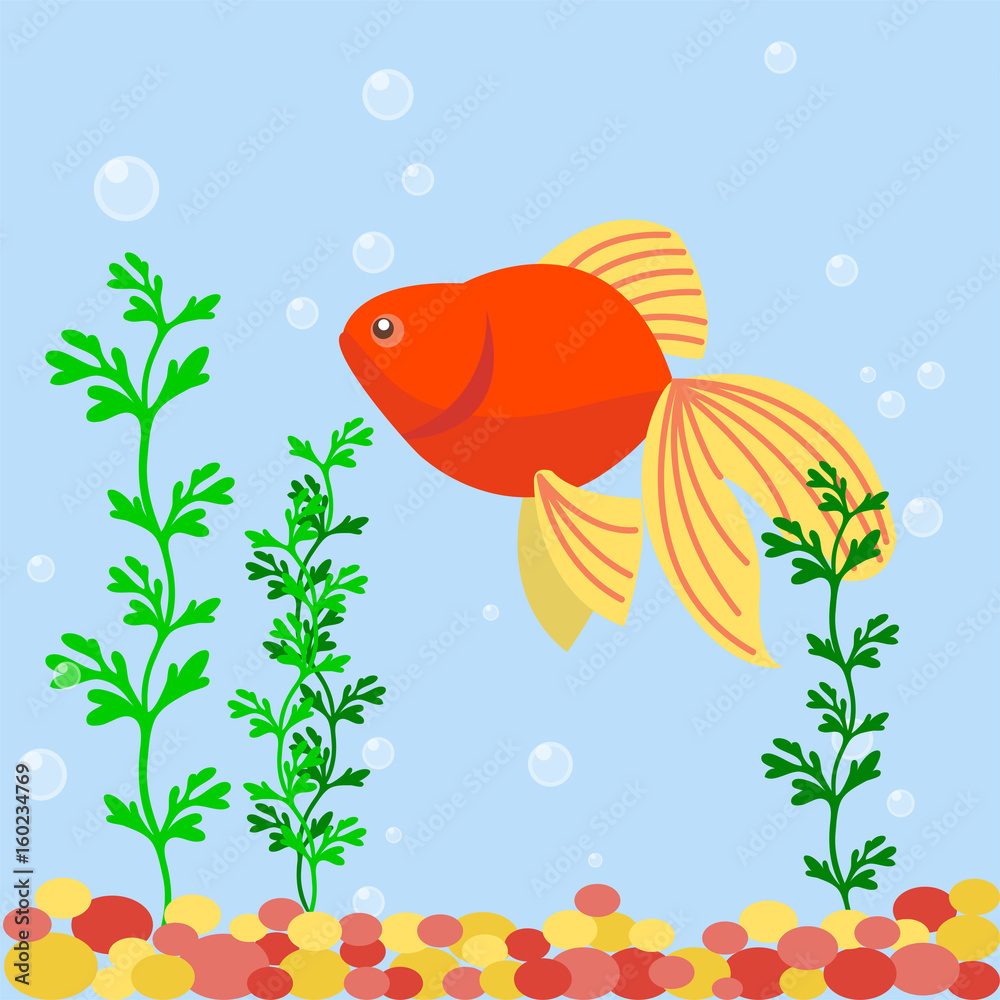 Transparent aquarium sea aquatic background vector illustration habitat ...