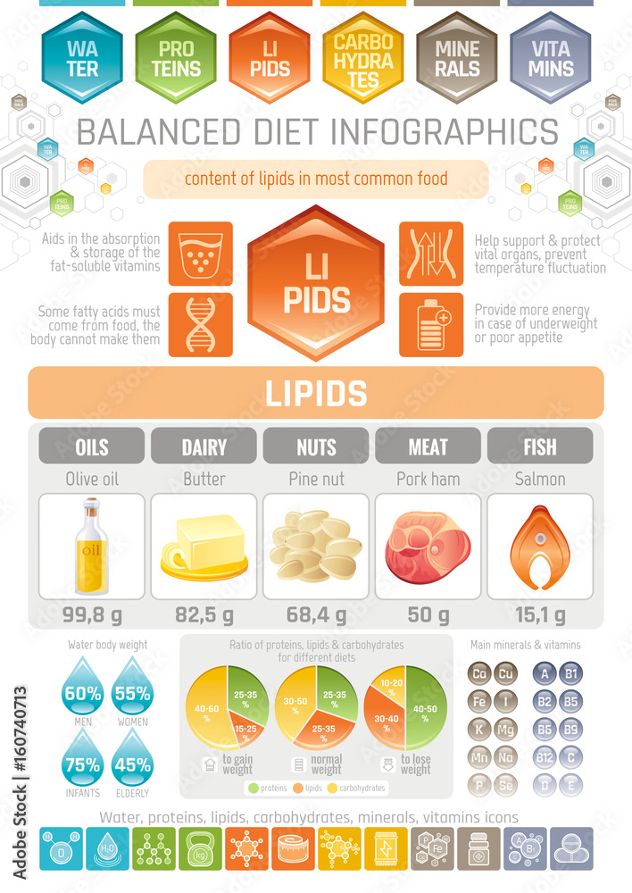 Fat lipids diet infographic diagram poster. Water protein lipid ...
