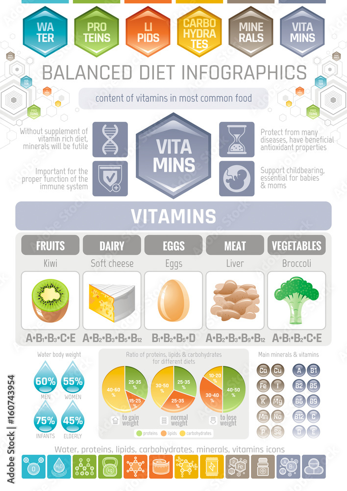 Stock-Vektorgrafik „Vitamins diet infographic diagram poster. Water ...