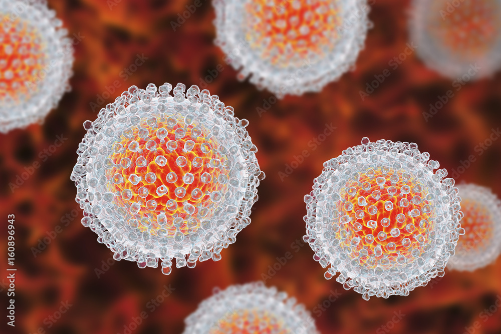 Hepatitis C virus model, 3D illustration. A virus consists of a protein ...