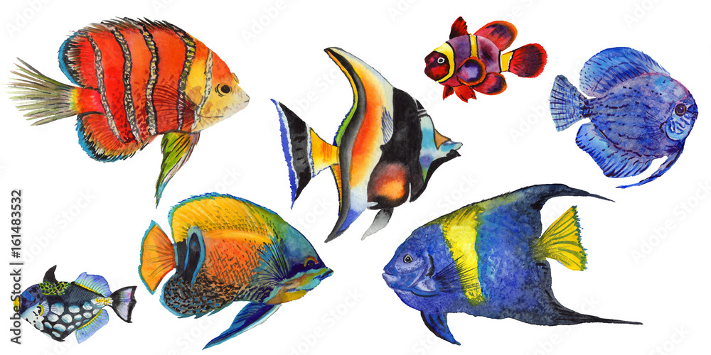Watercolor aquatic underwater colorful tropical fish set. Red sea and ...