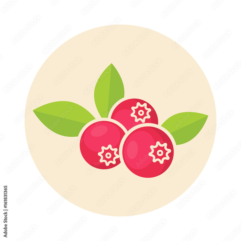cranberry icon Stock Vector | Adobe Stock