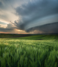 Storm Clouds Over Country Field Free Stock Photo - Public Domain Pictures