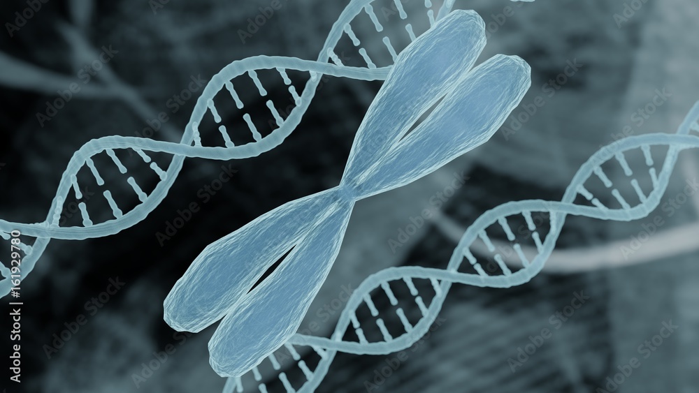 Chromosome and DNA representation bioinformatics biotechnology concept ...