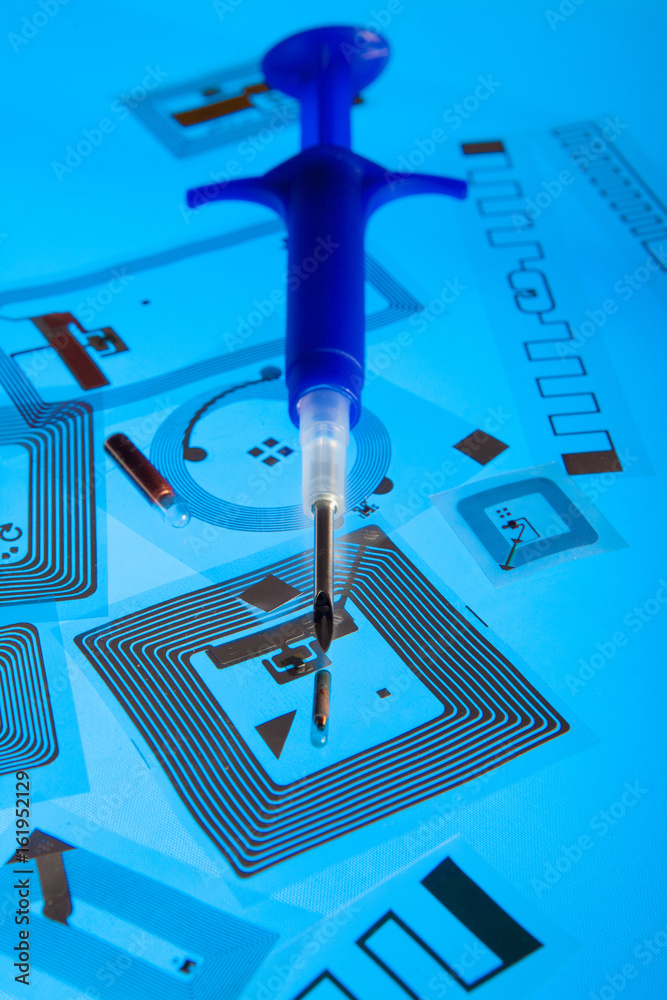 RFID implantation syringe and chips on RFID tags (Radio Frequency ...