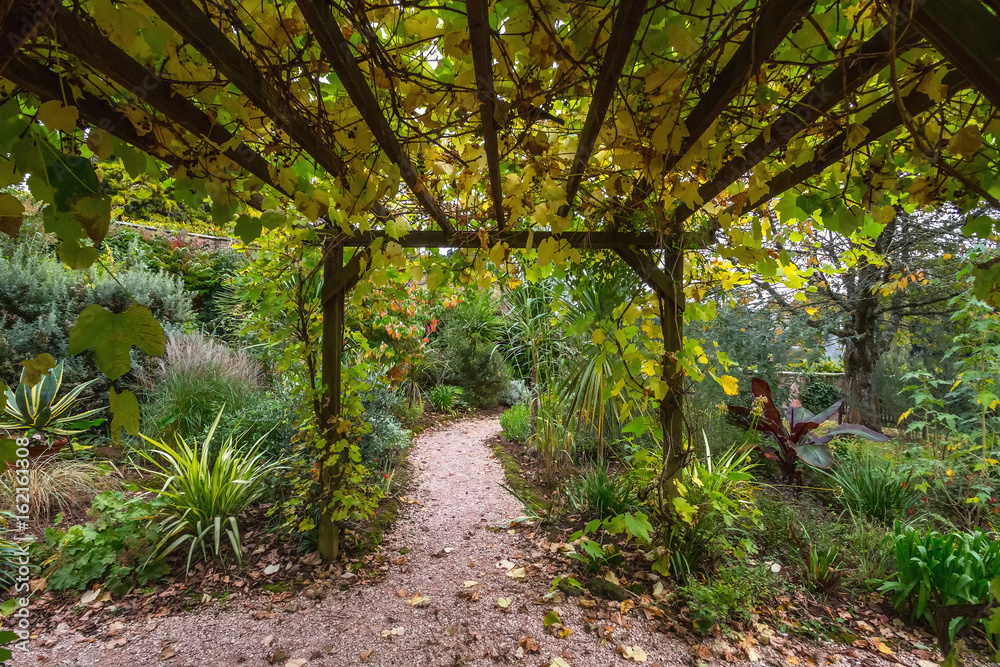 Pergola in the English garden. Autumn. The leaves turned yellow and ...
