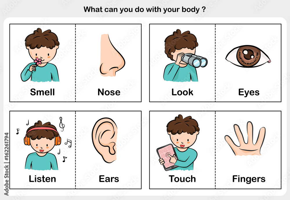 five senses - touch, taste, hearing, sight, smell. - worksheet for ...