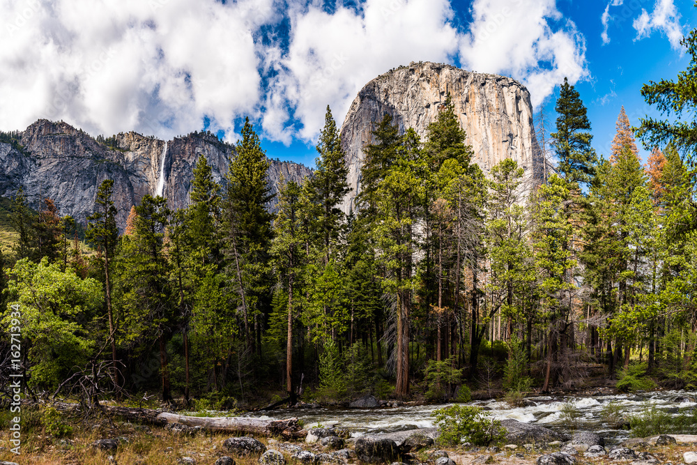 Yosemite El Capitan towering above the trees in the National Park with ...