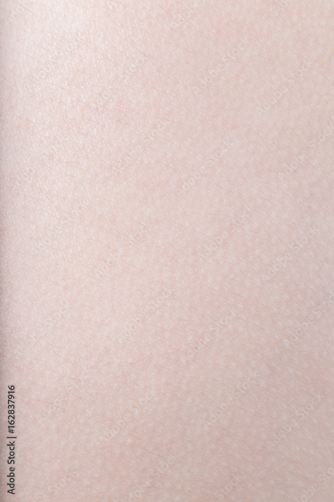 Female human skin texture macro shot Stock Photo | Adobe Stock