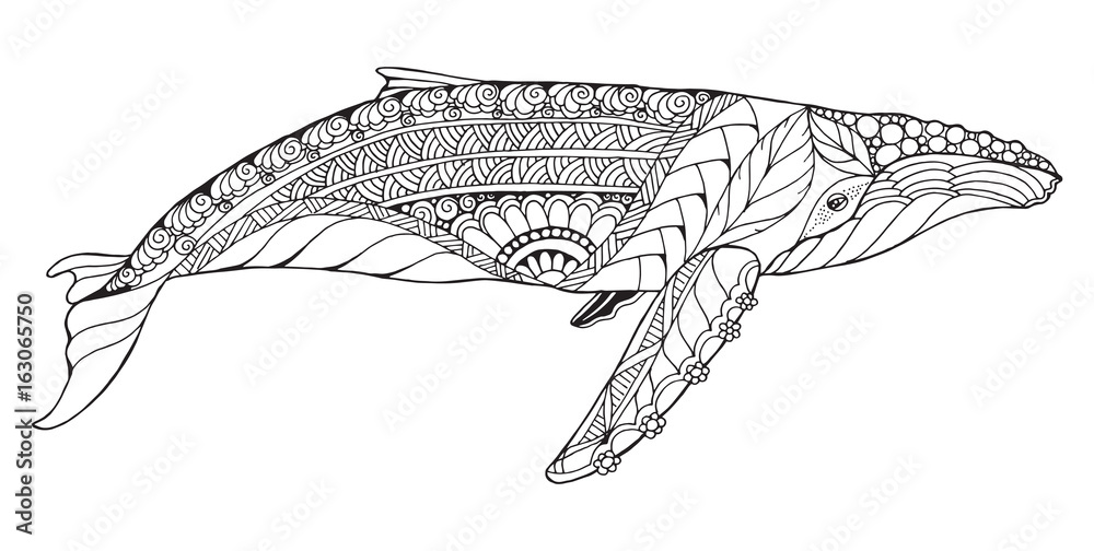 Zentangle stylized humpback whale. Vector, illustration, freehand ...