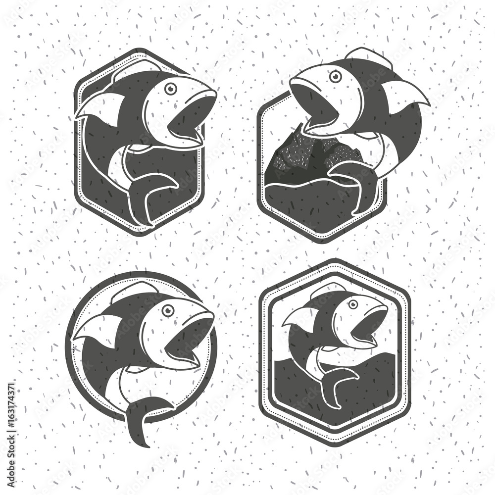 white background with sparkle of silhouette set shield with types of ...