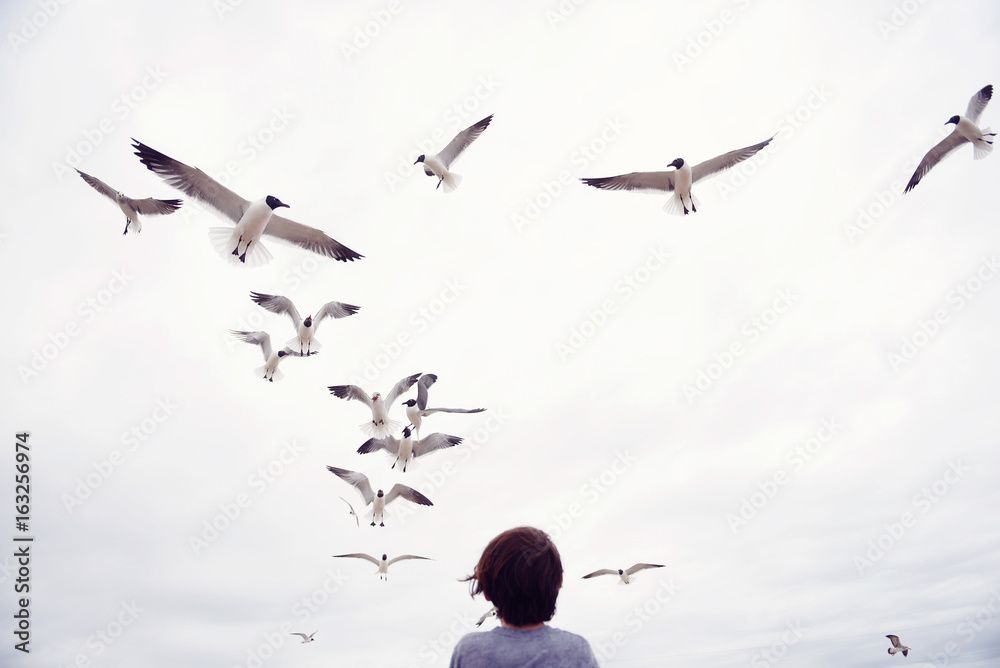 Rear view of boy looking at birds flying in the sky Stock Photo | Adobe ...