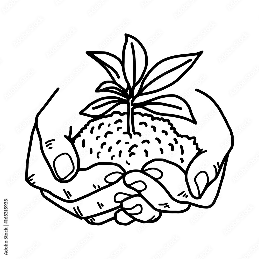 Growing plant with soil in hands - vector illustration sketch hand ...