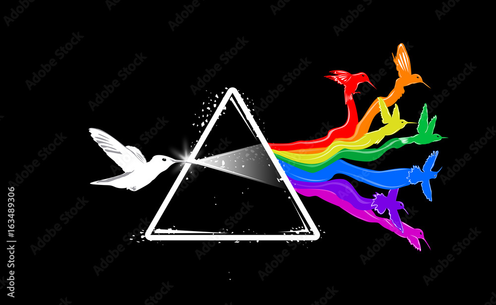 Flying Hummingbirds and rainbow colors passing through prism effect ...
