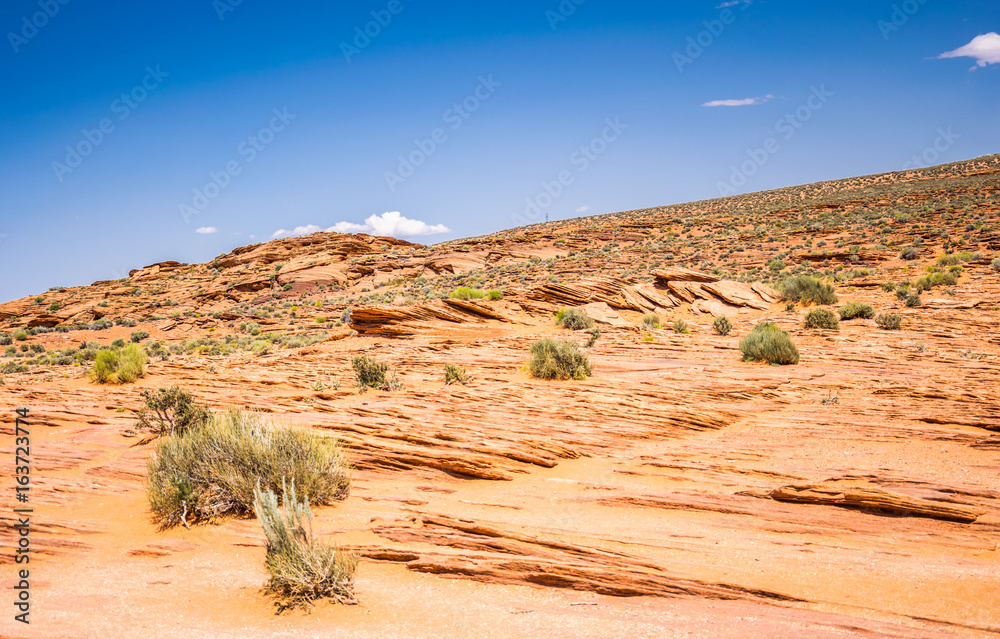 Arid desert arid climate. Red sandstone stones and meager desert ...