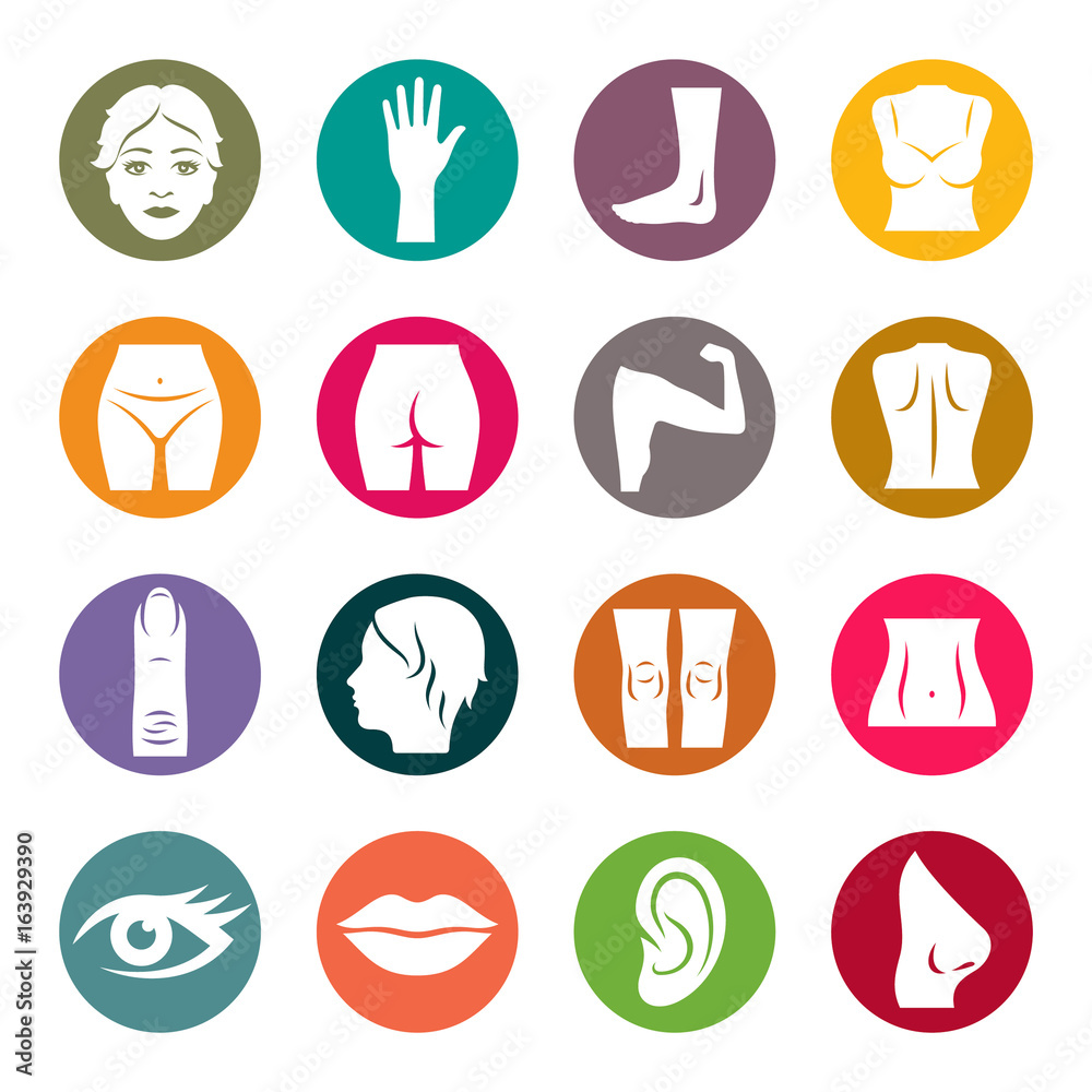 Human body parts icon set 素材庫向量圖 | Adobe Stock