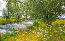 Stream In Meadow Free Stock Photo - Public Domain Pictures