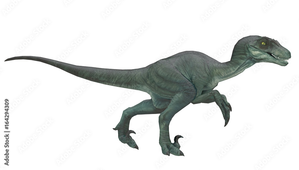 velociraptor running pose 3d rendering Stock Illustration | Adobe Stock