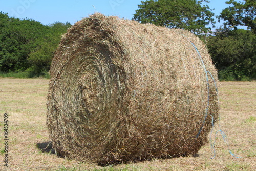 Bottes de foin dans un champ foto Stock | Adobe Stock
