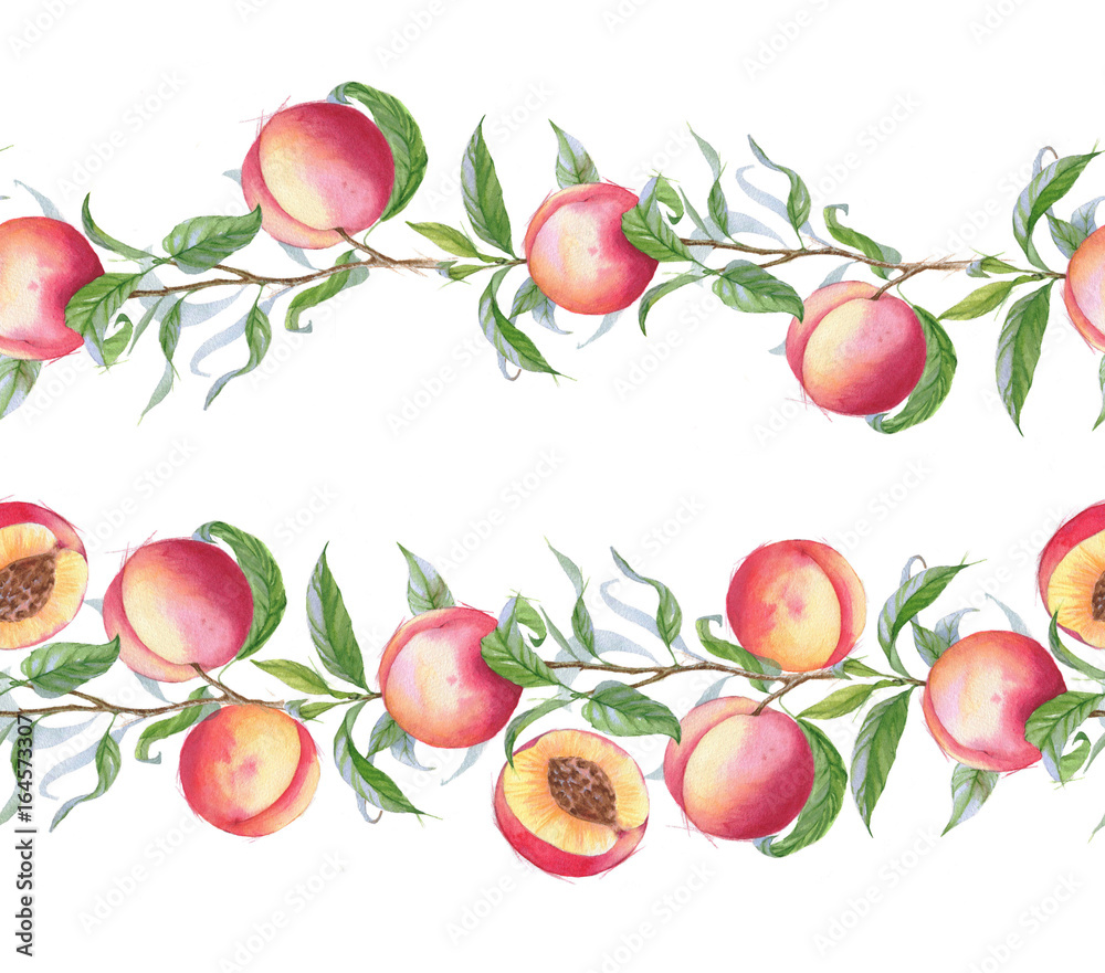 Ilustración de Stock Hand drawn watercolor borders with the peaches on ...