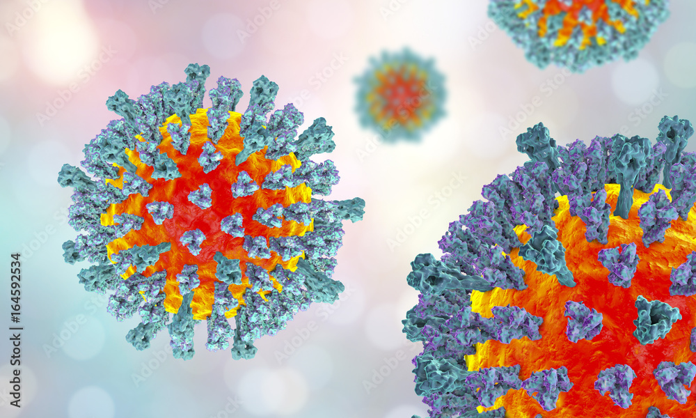 Measles viruses. 3D illustration showing structure of measles virus ...