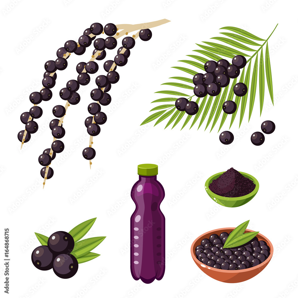 Vetor Set of colorful cartoon acai berry superfood products: branch ...