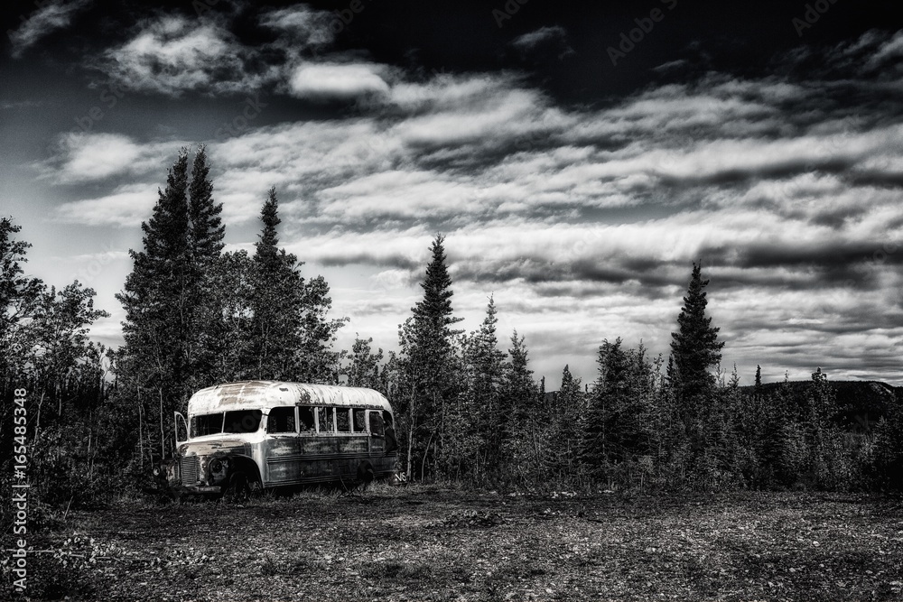 The real Bus 142 aka "the magic bus" Stock Photo | Adobe Stock