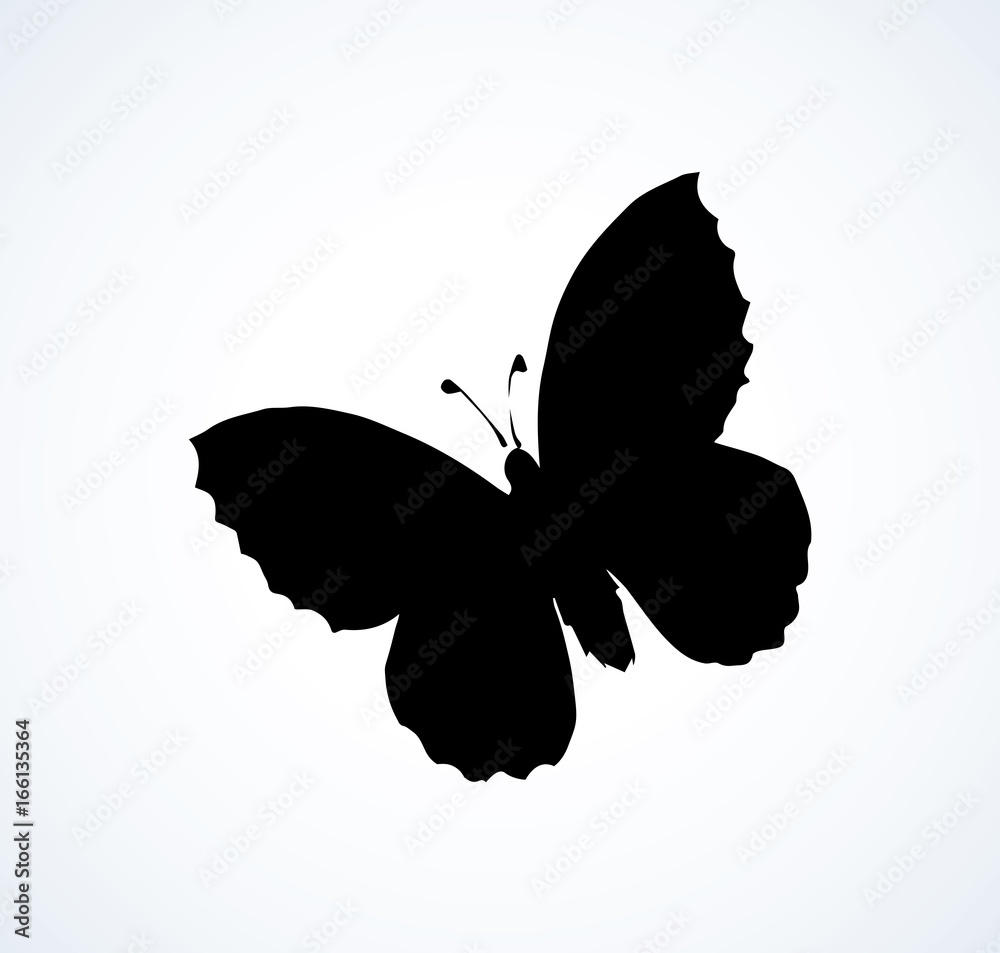 Butterfly. Vector drawing Stock Vector | Adobe Stock