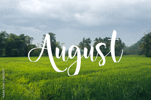 August text on tropical field and palms landscape. Nature calendar ...