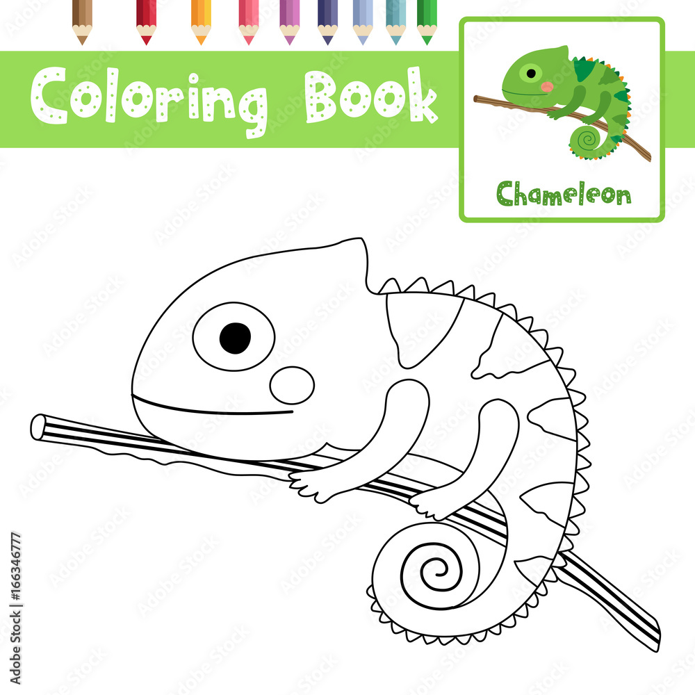 Coloring page of Chameleon on branch animals for preschool kids ...