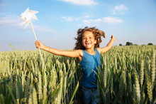 Field Of Pinwheels Free Stock Photo - Public Domain Pictures