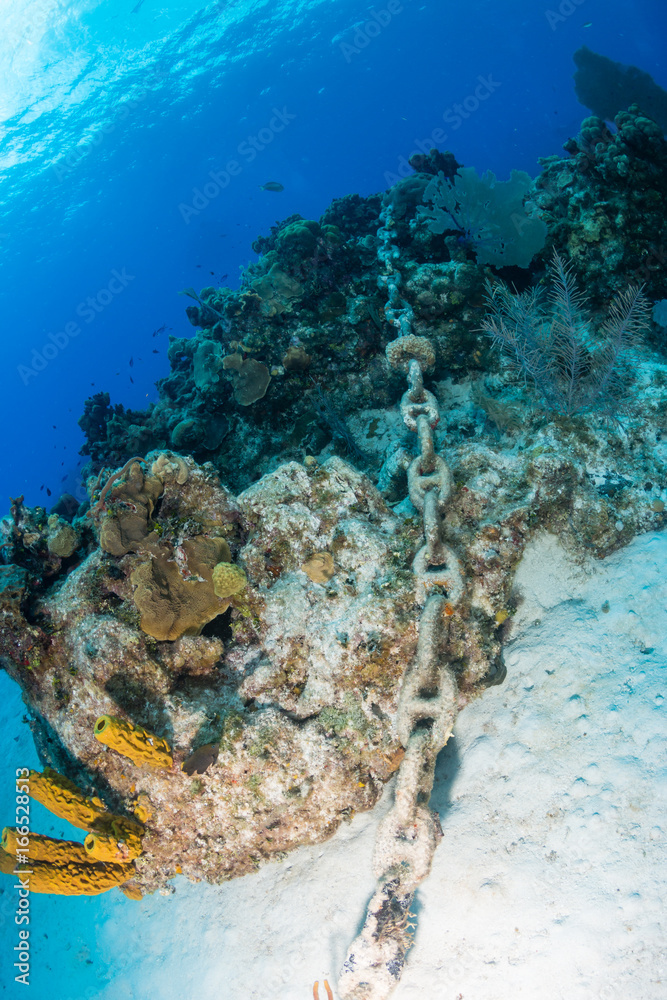Foto de Stock An anchor chain from a cruise ship carelessly dropped ...