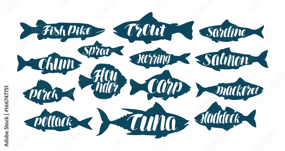 Fish, collection labels or logos. Seafood, food, fishing, angling set ...