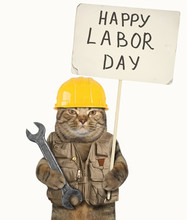 Labor Day Cats Poster Free Stock Photo - Public Domain Pictures
