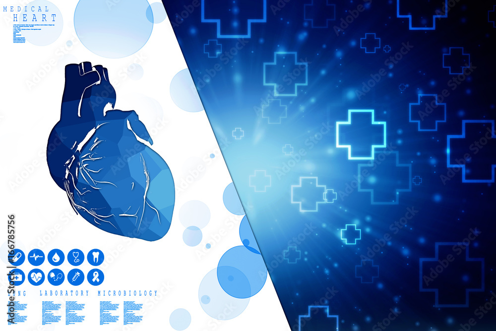 2d illustration of human body organ(heart anatomy) Stock Illustration ...