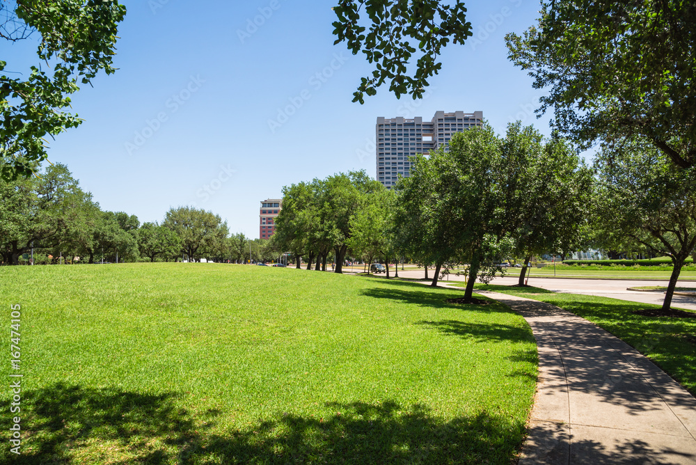 Green city park in midtown area of Houston at daytime during spring ...