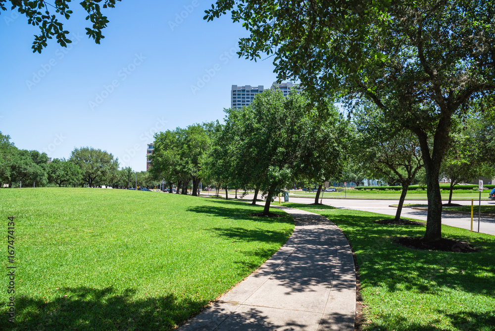 Green city park in midtown area of Houston at daytime during spring ...